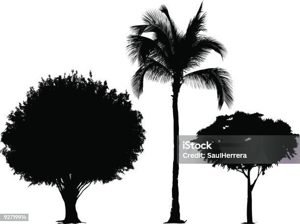 나무와 팜형 설계 요소 0명에 대한 스톡 벡터 아트 및 기타 이미지 0명 나무 나뭇가지 Istock