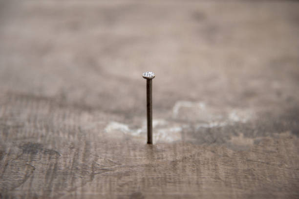 Free picture: Wood plank with metal pins and nails