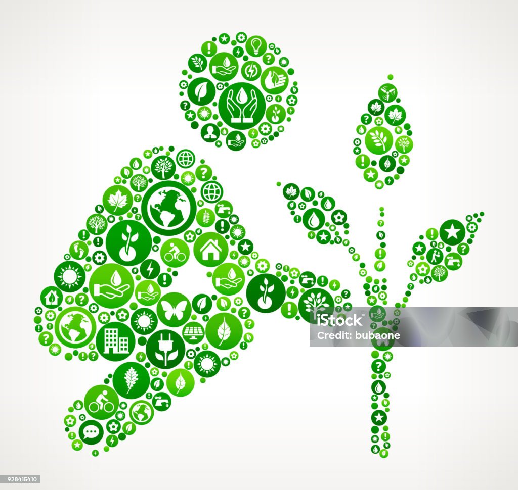 Plantation Darbres Nature Et Modèle Icône De Préservation De