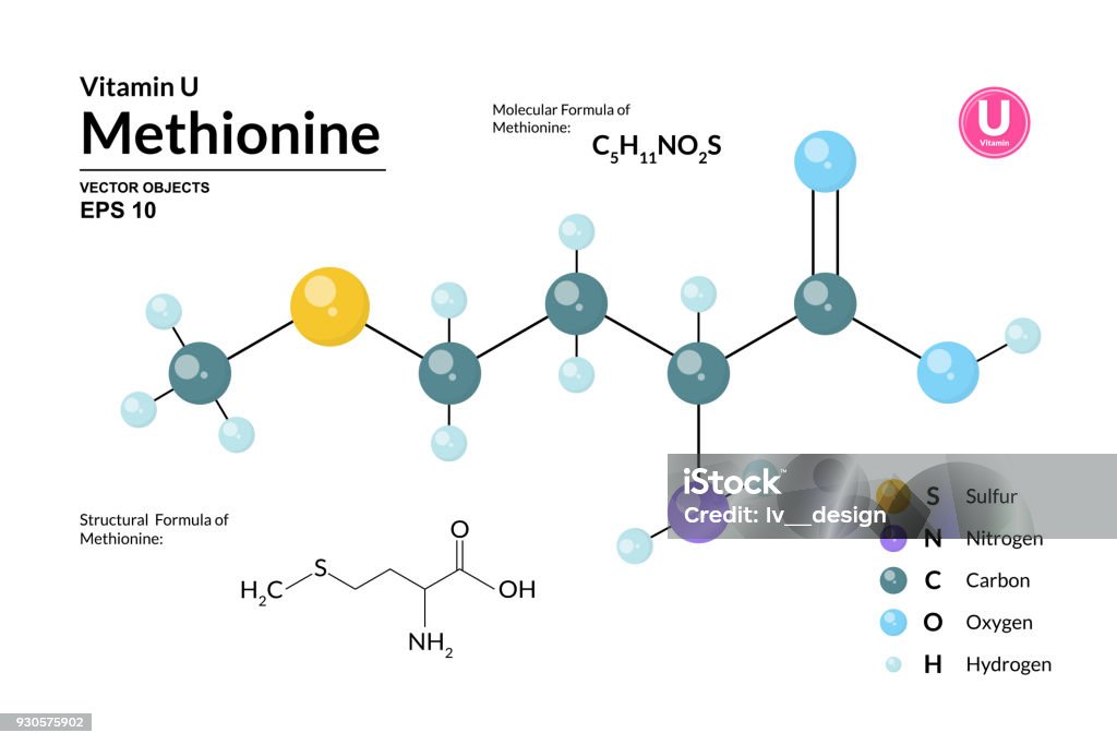 Structurele Chemische Molecuulformule En Model Van Methionine Atomen Zijn Vertegenwoordigd Als