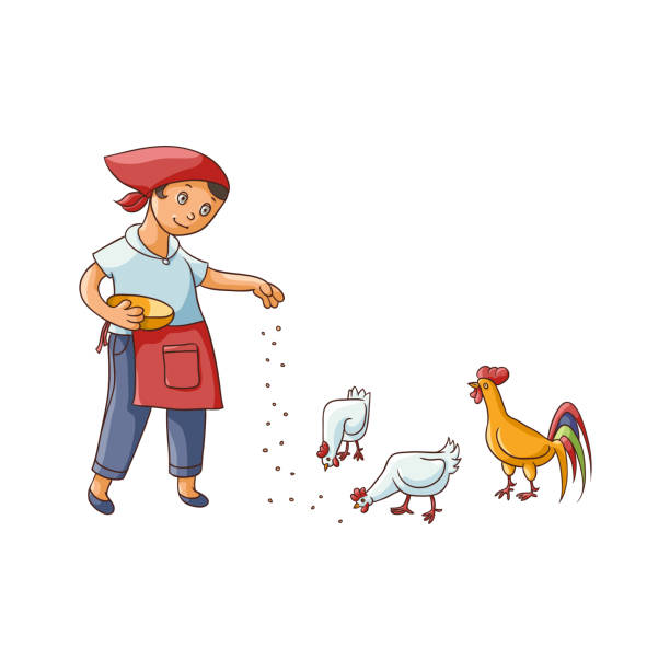 510+ Woman Feeding Birds Stock Illustrations, Royalty-Free Vector ... 510+ Woman Feeding Birds Stock Illustrations, Royalty-Free Vector ...