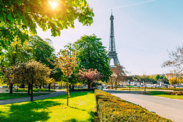 Paris Landscape Pictures | Download Free Images on Unsplash