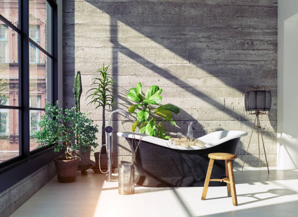 Sun Bath Pictures | Download Free Images on Unsplash