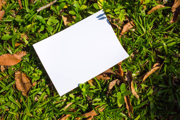 Free Stock Photo of A Piece of Paper Laying on the Ground | Download ...
