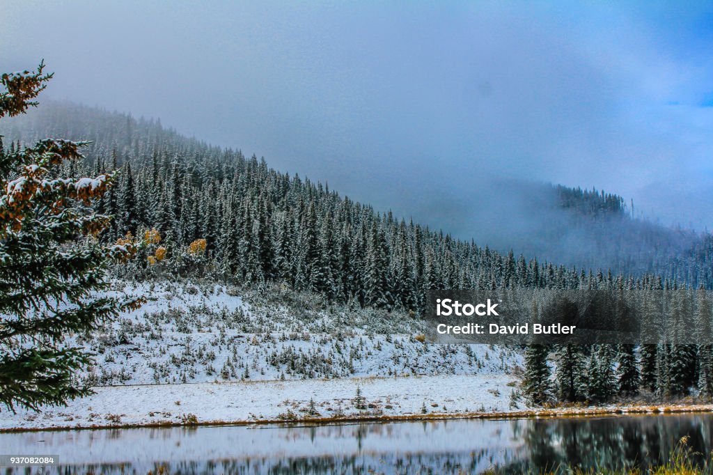 Fall Colours And Early Snow On The Lake Sibbald Lake Provincial