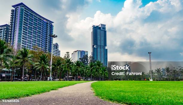 Lapangan Rumput Hijau Jalan Pejalan Kaki Dan Pohon Kelapa Di Taman Kota ... Lapangan Rumput Hijau Jalan Pejalan Kaki Dan Pohon Kelapa Di Taman Kota ...