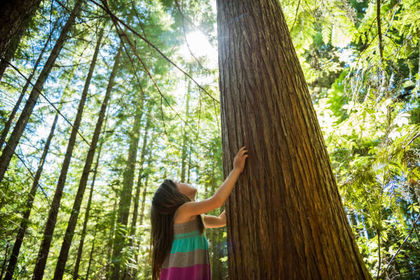 Free picture: connecting, children, nature