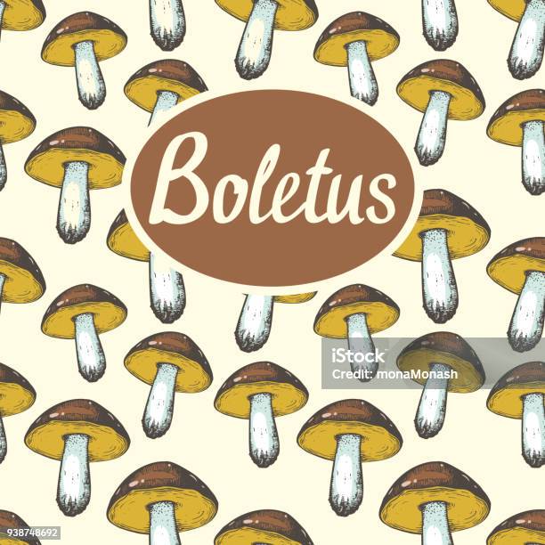 Porcini 패턴 벡터 일러스트입니다 버섯의 손으로 그린 스케치 레스토랑 메뉴에 대 한 완벽 한 음식 배경입니다 숲 스타일