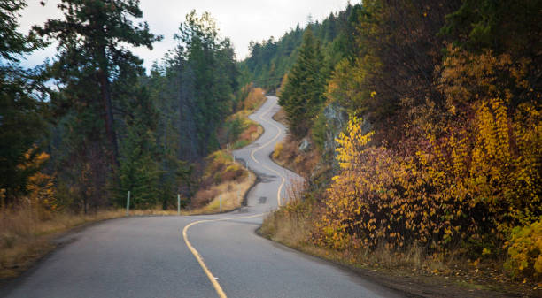 1K+ Long Road Pictures | Download Free Images on Unsplash