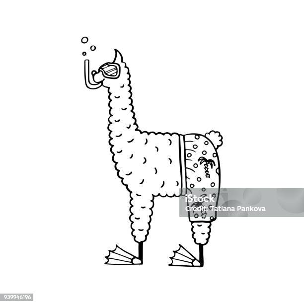 Ilustrasi Lucu Yang Digambar Tangan Dari Lama Di Celana Pendek Pantai