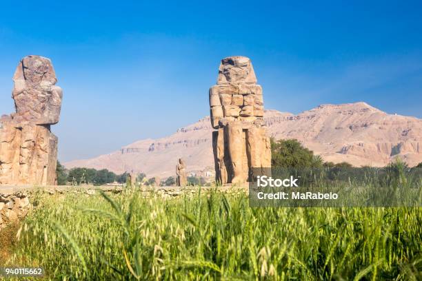 Hatchepsut 사원입니다 웨스트 뱅크의 절벽에 있는 귀족의 무덤 사용 어디 코끼리 섬의 총재 이집트 아프리카 0명에 대한