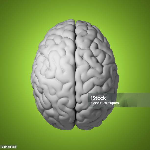 3d 렌더링 된 인간의 두뇌입니다 과학에 대한 스톡 사진 및 기타 이미지 과학 교육 꿈같은 Istock