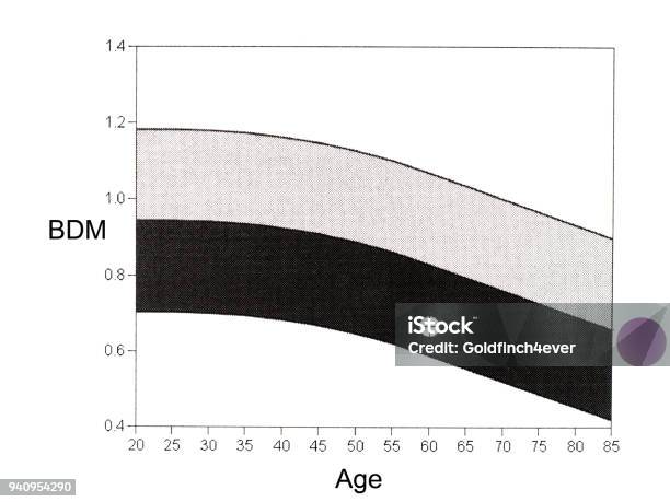 Dexa 뼈 미네랄 밀도 그래프의 사진입니다 Osteopenia 존재입니다 골다공증에 대한 스톡 사진 및 기타 이미지