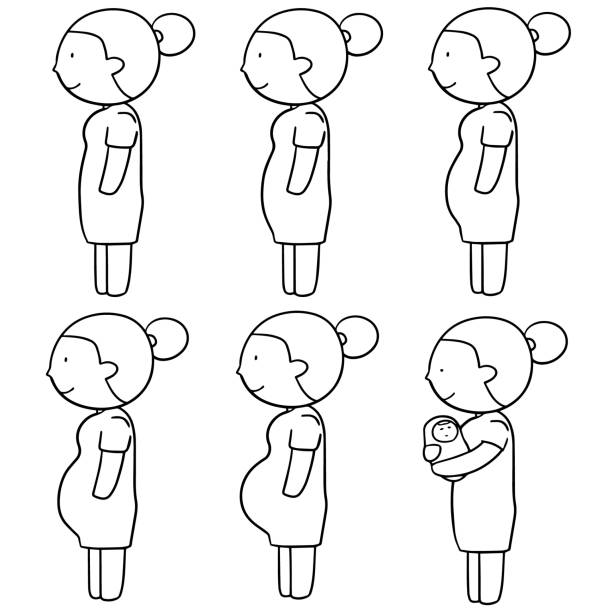 20+ Beautiful Pregnant Woman Giving Birth Drawing Stock Illustrations ... 20+ Beautiful Pregnant Woman Giving Birth Drawing Stock Illustrations ...