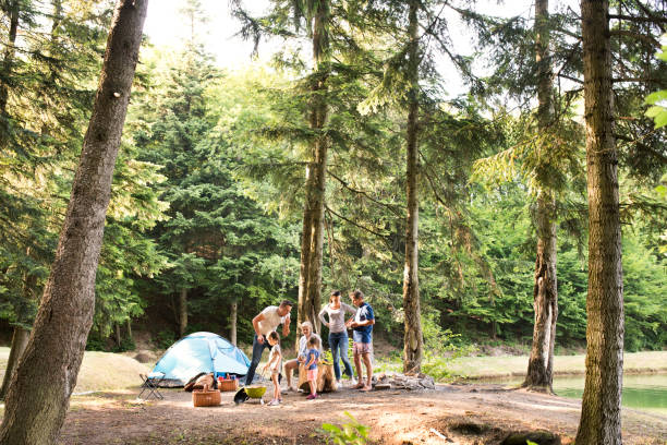 30,000+ Family Camping Pictures | Download Free Images on Unsplash