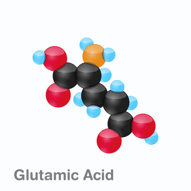 Free download of glutamic acid vector graphics and illustrations