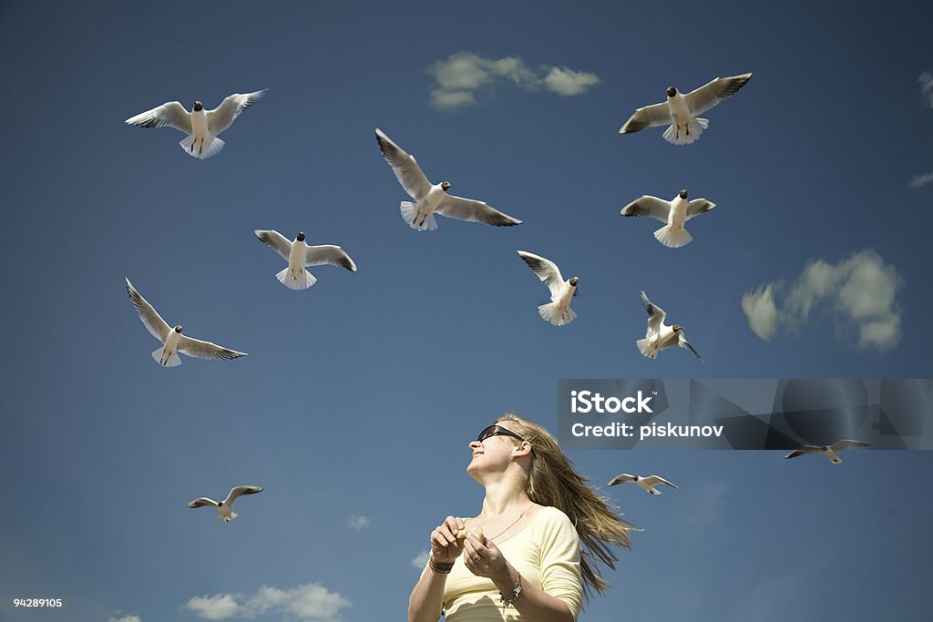 갈매기에게 빵 던지기 먹이기 갈매기에 대한 스톡 사진 및 기타 이미지 갈매기 아이 해변 Istock