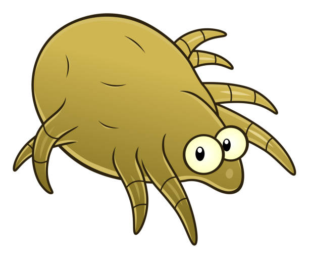 40 Dust Mites Isolated Stock Illustrations Royalty Free Vector Graphics And Clip Art Istock