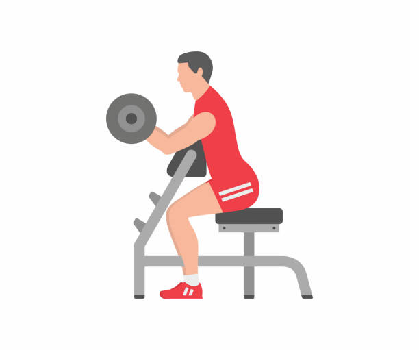 430+ Musculation Des Biceps Stock Illustrations, graphiques vectoriels ... 430+ Musculation Des Biceps Stock Illustrations, graphiques vectoriels ...