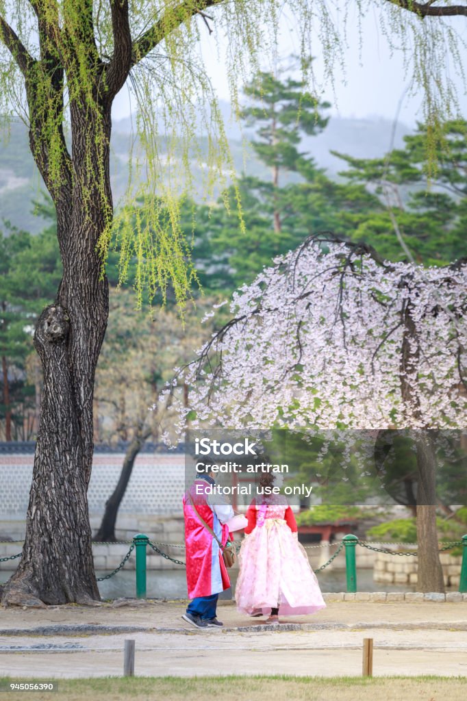 Asian Korean Woman Dressed Hanbok In Traditional Dress Walking In