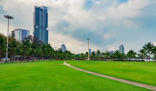 Lapangan Rumput Hijau Jalan Pejalan Kaki Dan Pohon Kelapa Di Taman Kota ... Lapangan Rumput Hijau Jalan Pejalan Kaki Dan Pohon Kelapa Di Taman Kota ...