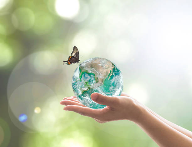 7 800 Journée Mondiale De Lenvironnement Photos Taleaux Et Images