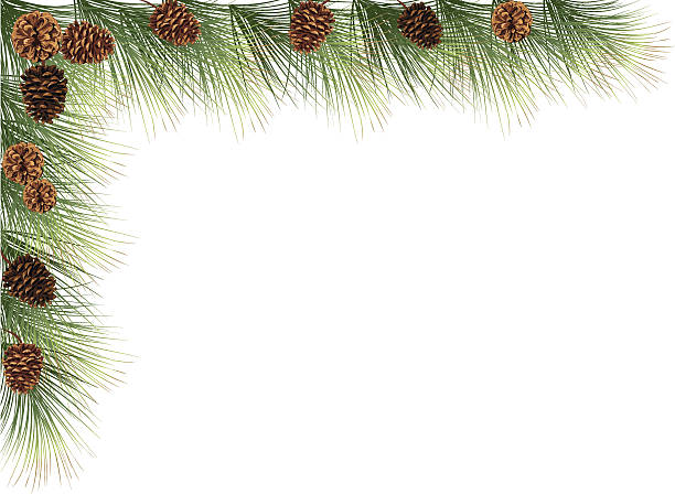 Download Pine Needles, Frame, Copy Space. Royalty-Free Vector Graphic ...