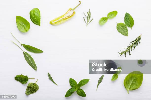 Ingrediens 박하 달콤한 바 질 로즈마리 오 레가 노 세이 지 레몬 백 리 향 평면 흰색 나무 배경에 대 한 다양 한