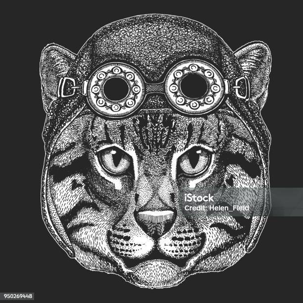Vahşi Kedi Balıkçı Kedi El Dövme Amblem Rozet Logo Havacı Motosiklet Motosiklet Kask Giyiyor