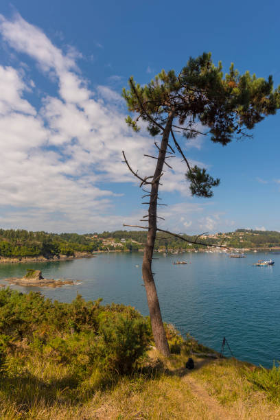 sada-galicia Premium Photos, Pictures and Images by Istock