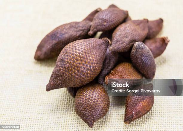 Segenggam Buah Ular Closeup Pada Latar Belakang Sumbu Ringan Buah Manis