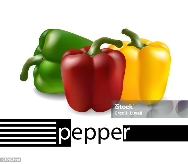 Paprika Diatur Dalam Warna Merah Kuning Hijau Lada 3d Realistis ... Paprika Diatur Dalam Warna Merah Kuning Hijau Lada 3d Realistis ...