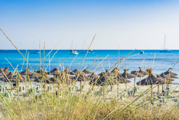 Ücretsiz resim: plaj, şemsiye, kum, Beach çimen, sonbahar sezon ...