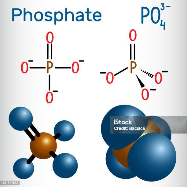 Molekul Anion Fosfat Formula Kimia Struktural Dan Model Molekul