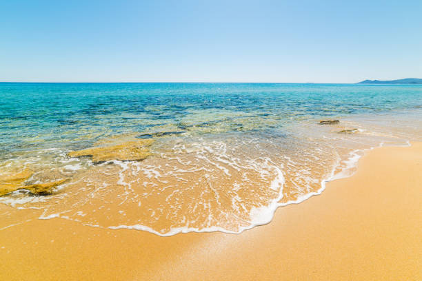 Beach Sand Tide Low - Free photo on Pixabay