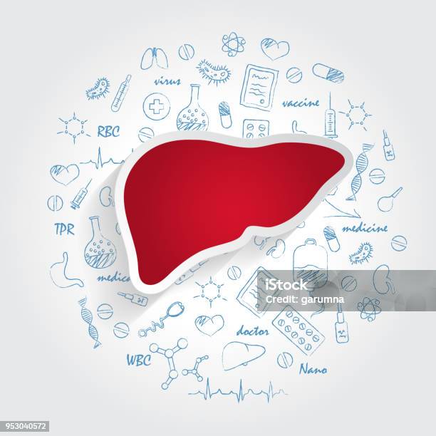 Ikon Untuk Spesialisasi Medis Konsep Hepatologi Dan Hati Ilustrasi ... Ikon Untuk Spesialisasi Medis Konsep Hepatologi Dan Hati Ilustrasi ...