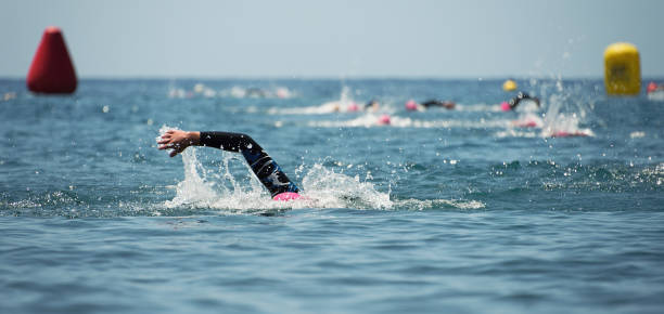 Swimming Sea Pictures | Download Free Images on Unsplash