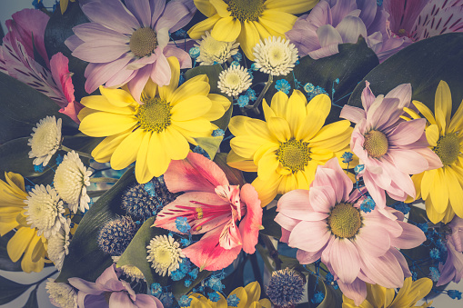 Chamomiles Gerberas 및 배경 또는 배경으로 다른 꽃 몸매 이미지 개화기에 대한 스톡 사진 및 기타 이미지
