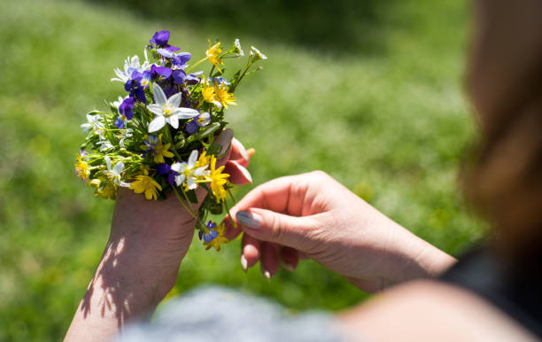 Picking Flowers Pictures | Download Free Images on Unsplash