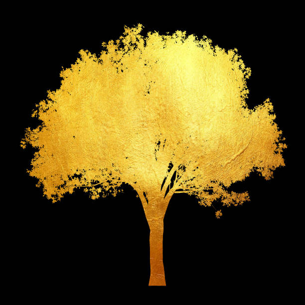 Golden Tree Pictures | Download Free Images on Unsplash
