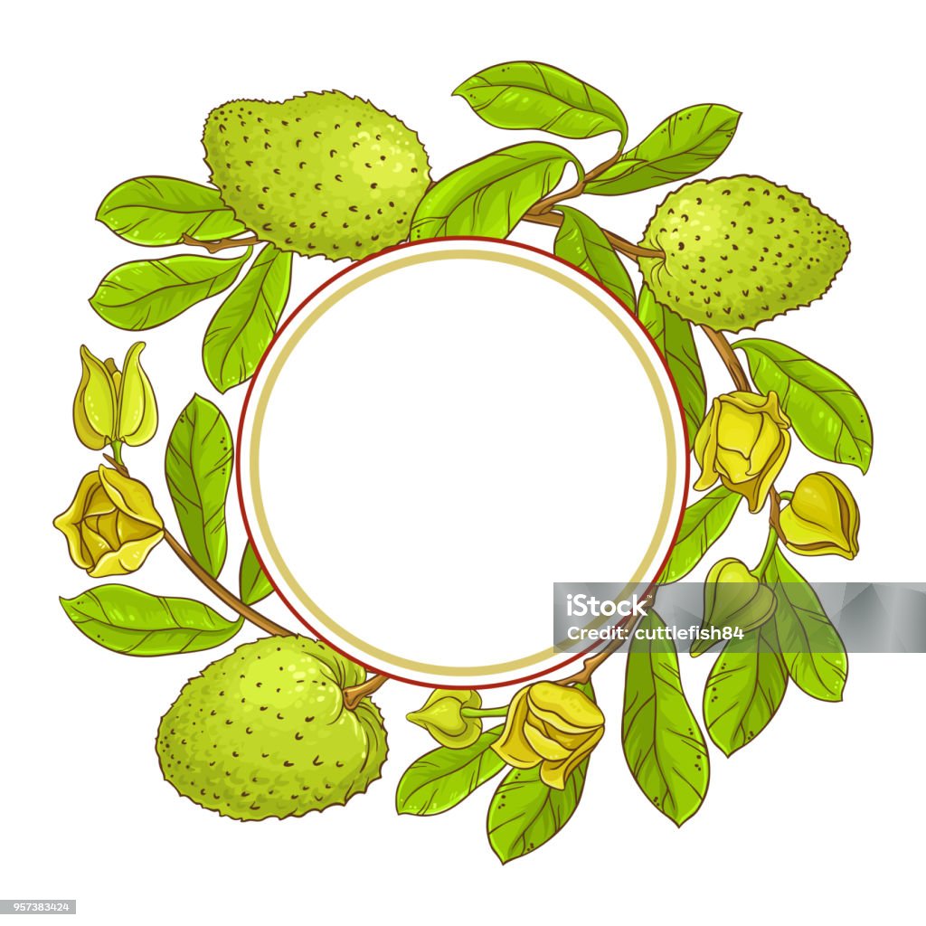 Soursop 벡터 프레임 가시에 대한 스톡 벡터 아트 및 기타 이미지 가시 가시여지 감귤류 과일 Istock
