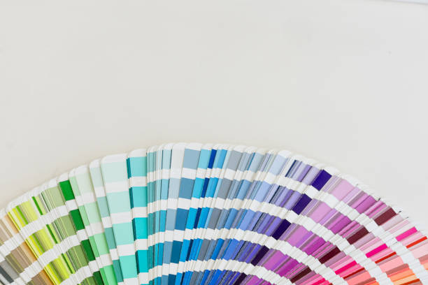 Color Scheme Pictures | Download Free Images on Unsplash