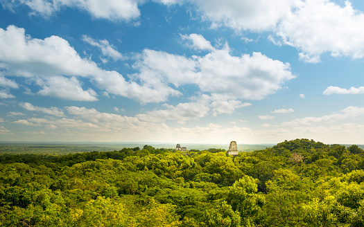 Tikal 과테말라 마 야 유적 0명에 대한 스톡 사진 및 기타 이미지 0명 건축 경관 Istock