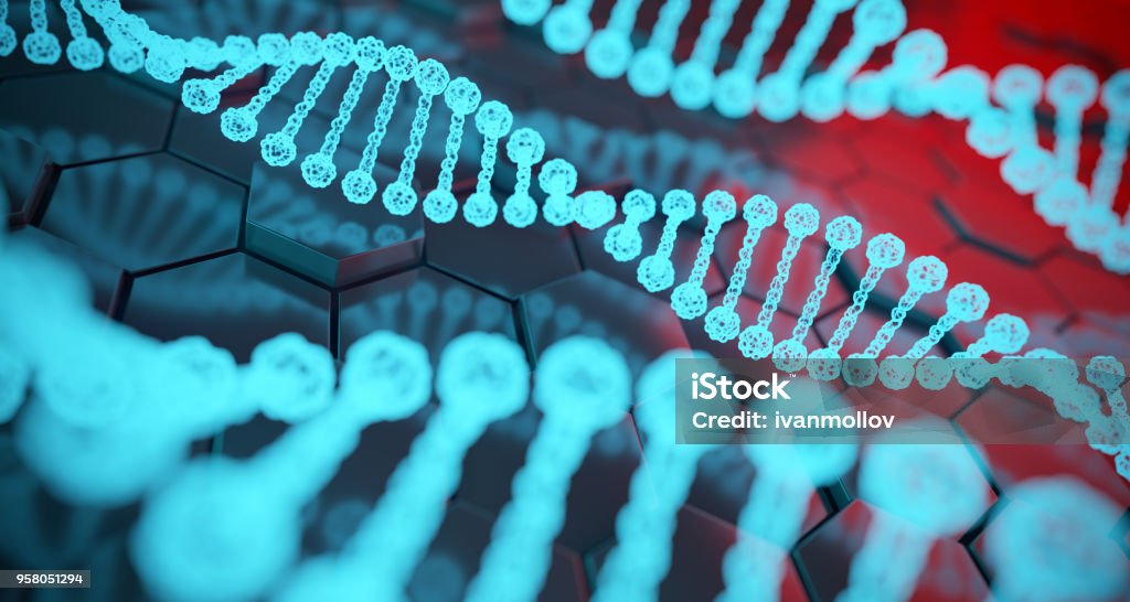 Adn Humano Resumen Detallada De Estructuras En El Fondo Del Hexagonal ... Adn Humano Resumen Detallada De Estructuras En El Fondo Del Hexagonal ...