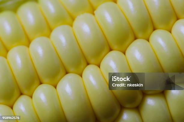 Corncob 여전히 한 Corncob를 연결 하는 옥수수 종자의 행에 옥수수 씨앗 0명에 대한 스톡 사진 및 기타 이미지