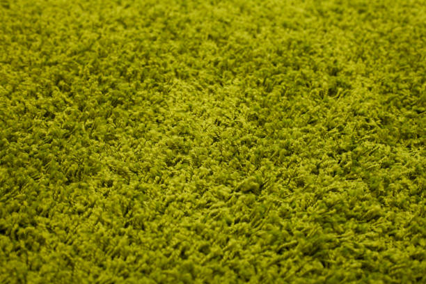 Green Carpet Pictures | Download Free Images on Unsplash