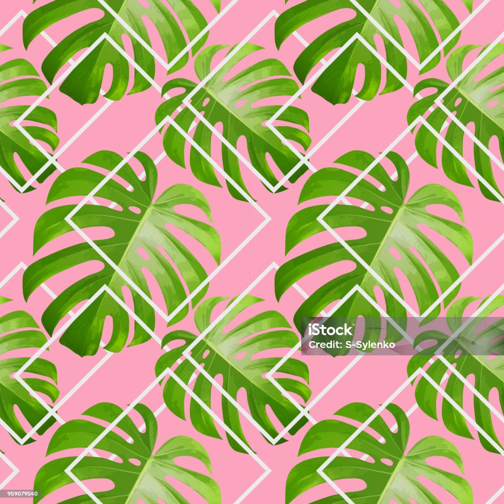 Background With Tropical Palm Leaves Exotic Tropical Plants Stock