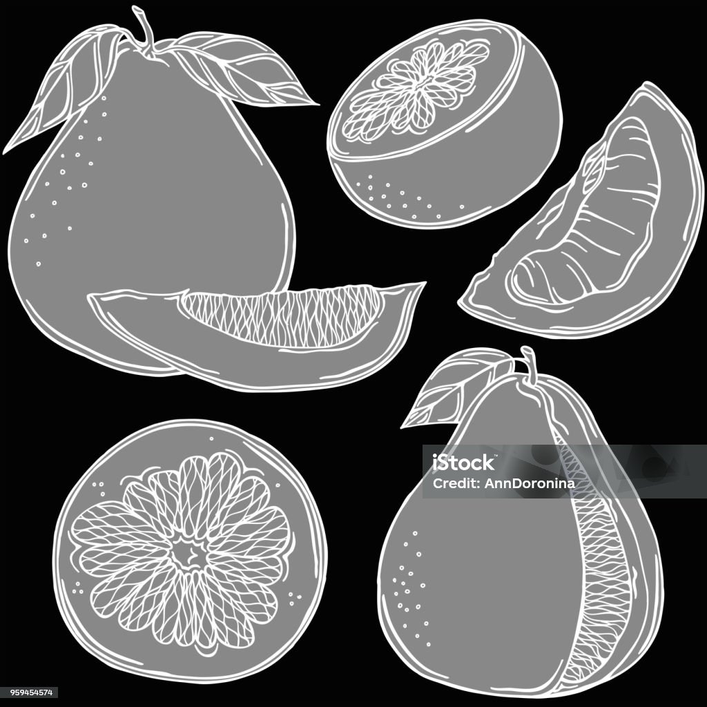 Pomelo Fruit Linear Illustration Vector Stock Illustration - Download ... Pomelo Fruit Linear Illustration Vector Stock Illustration - Download ...