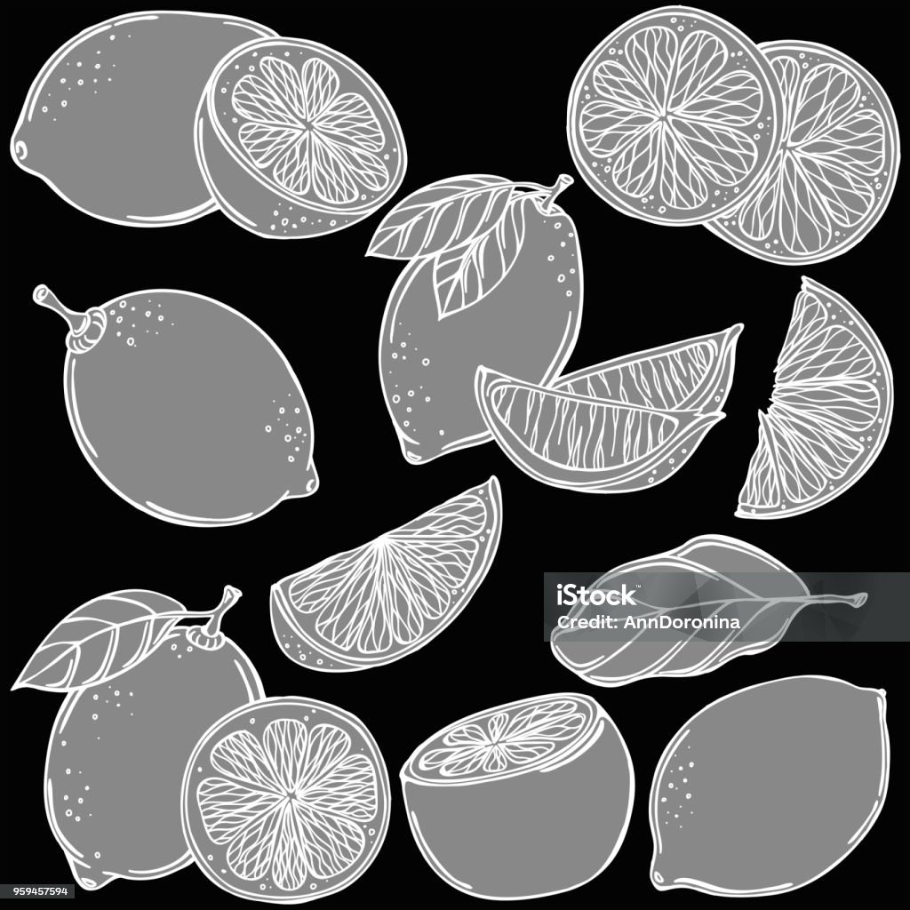 Lime Fruit Linear Illustration Vector Stock Illustration - Download ... Lime Fruit Linear Illustration Vector Stock Illustration - Download ...