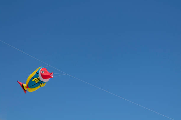 penguin kite | Free Stock Image - Barnimages
